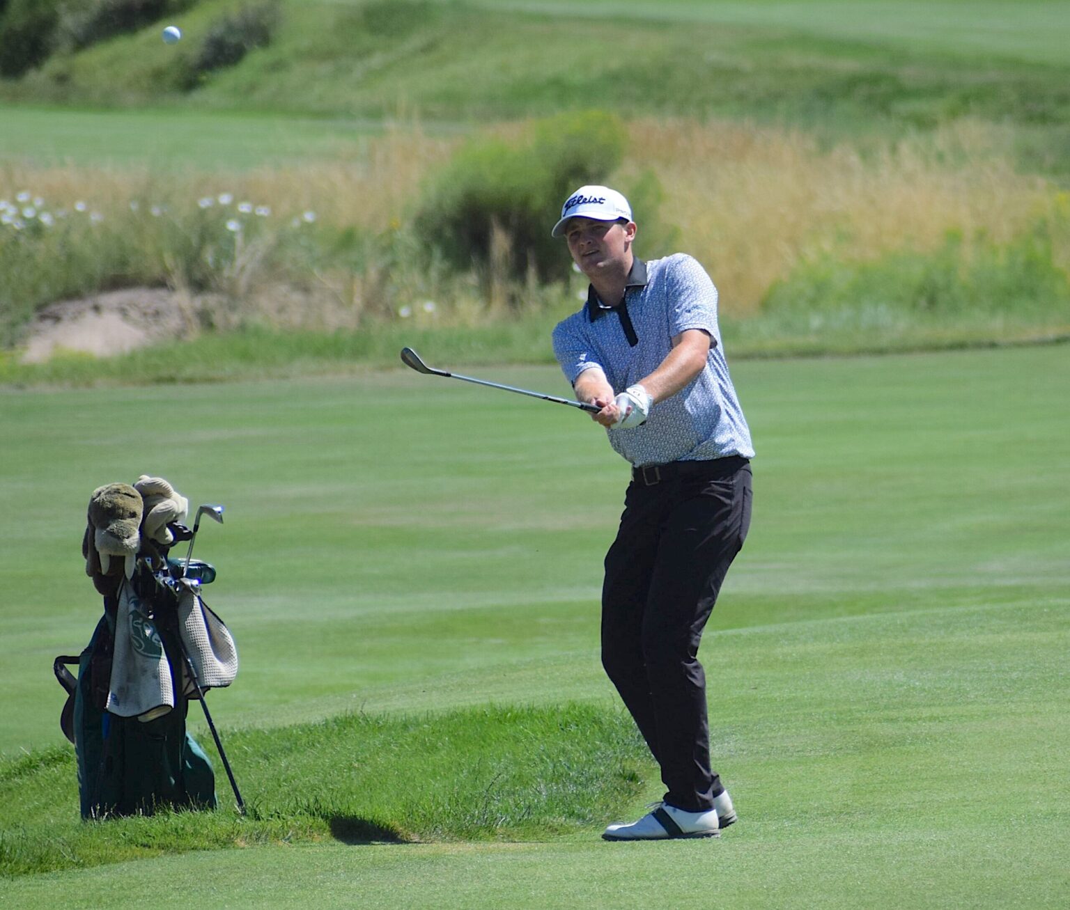 Happily Busy This Week - Colorado Golf Association